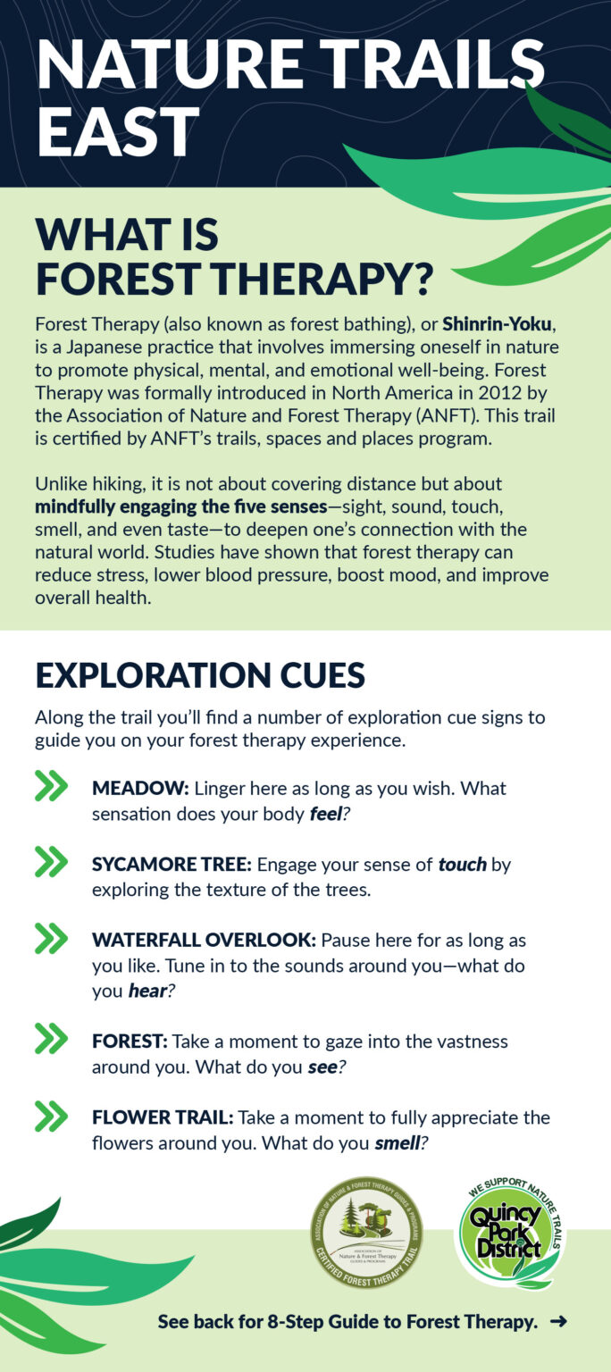 QPD-MS-25-16-Forest-Therapy-rack-card-1 | Quincy Park District